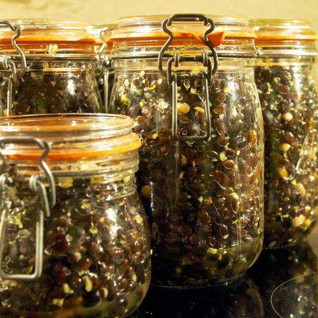 Fermented Black Soy Beans – Nothing But Onions